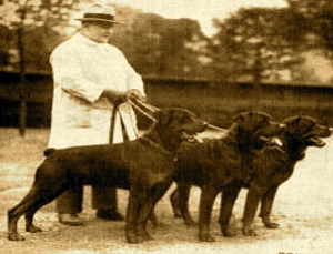 History – Rottweilers